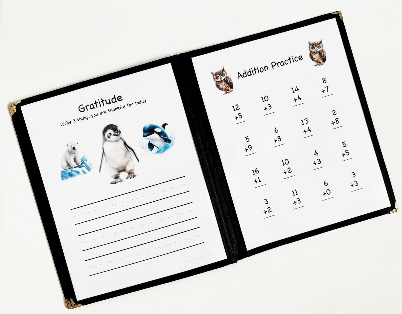 1st Grade Morning Menu including menu cover and 22 educational pages p ...